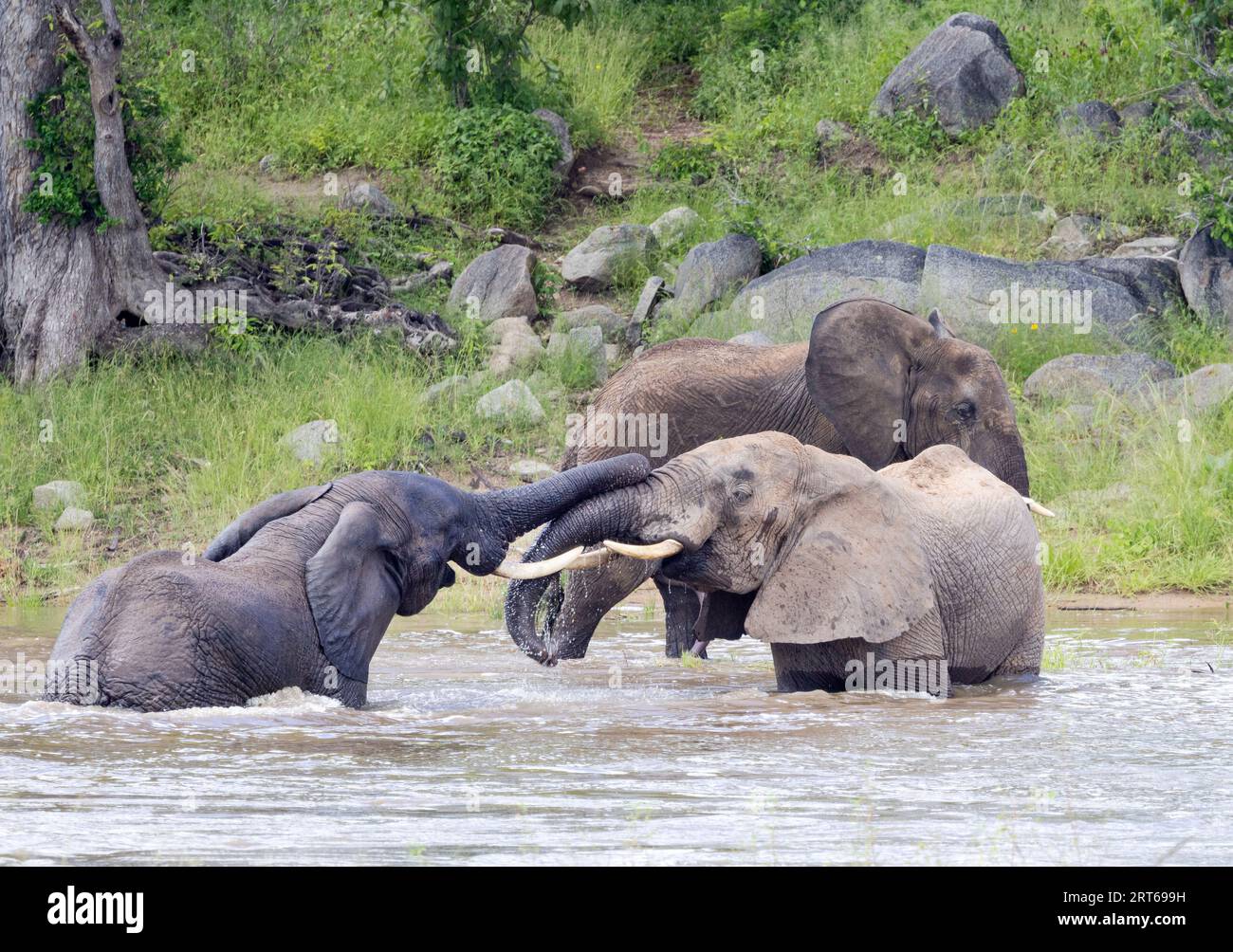 Waterpoints hi-res stock photography and images - Alamy