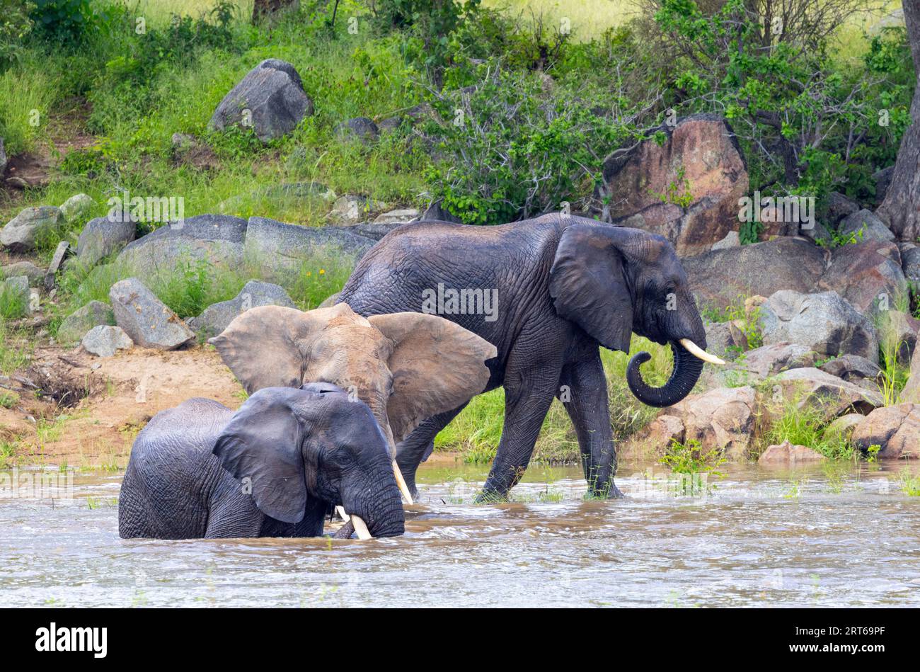 Waterpoints hi-res stock photography and images - Alamy