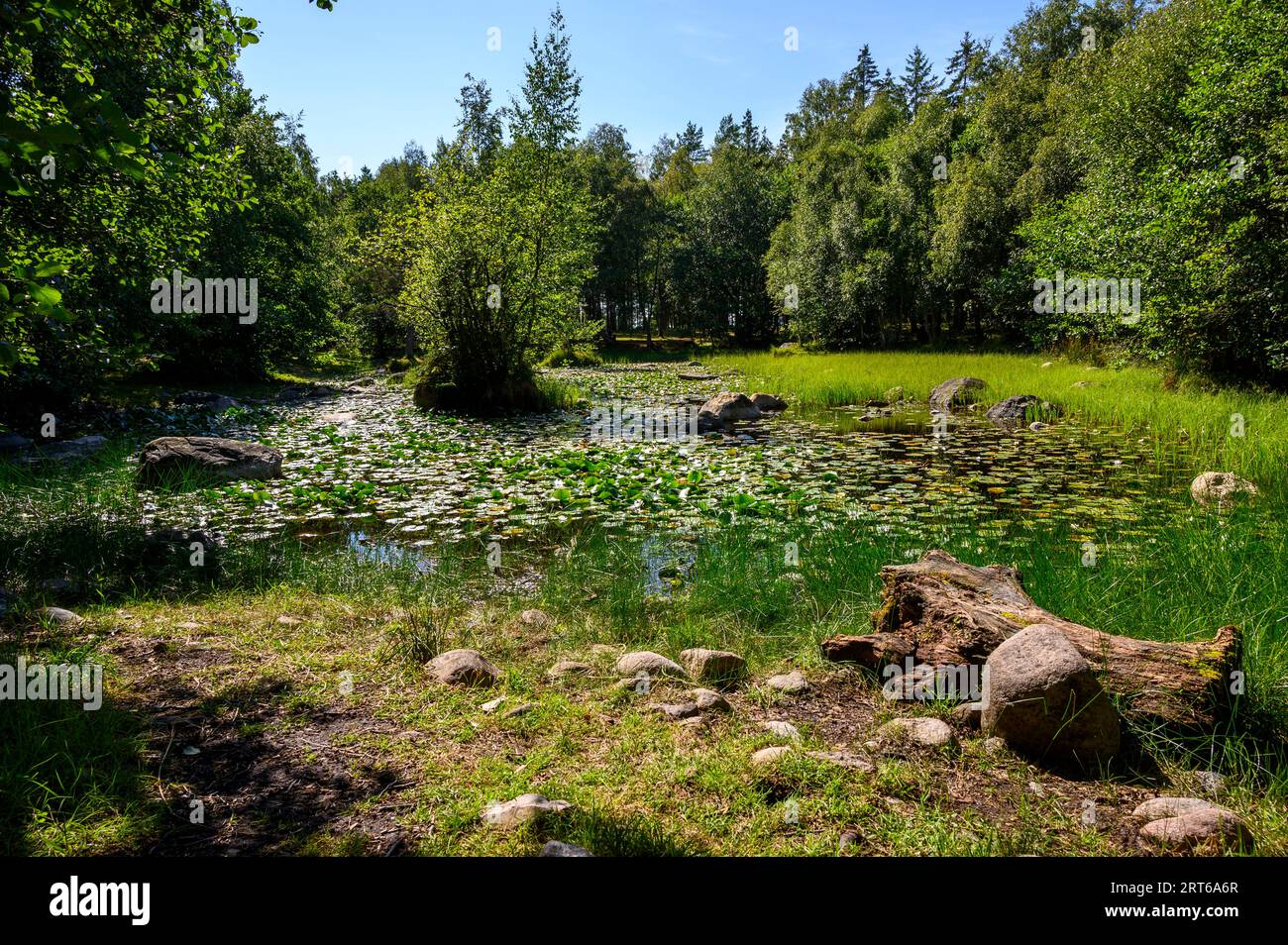 'Tårntjernet' (The Lighthouse pond) on Jomfruland island made famous by ...