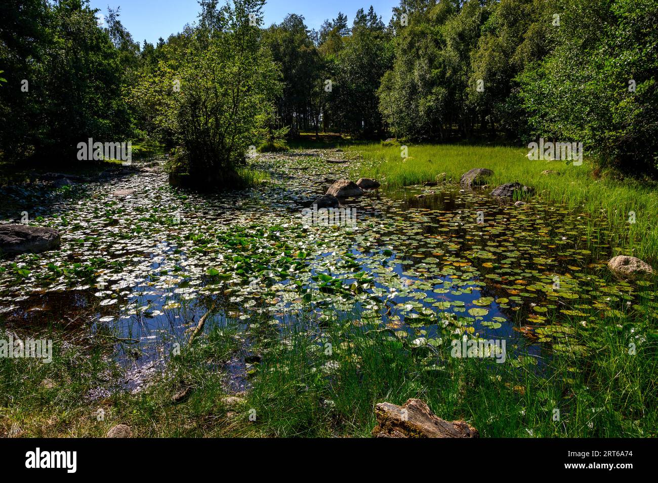'Tårntjernet' (The Lighthouse pond) on Jomfruland island made famous by ...