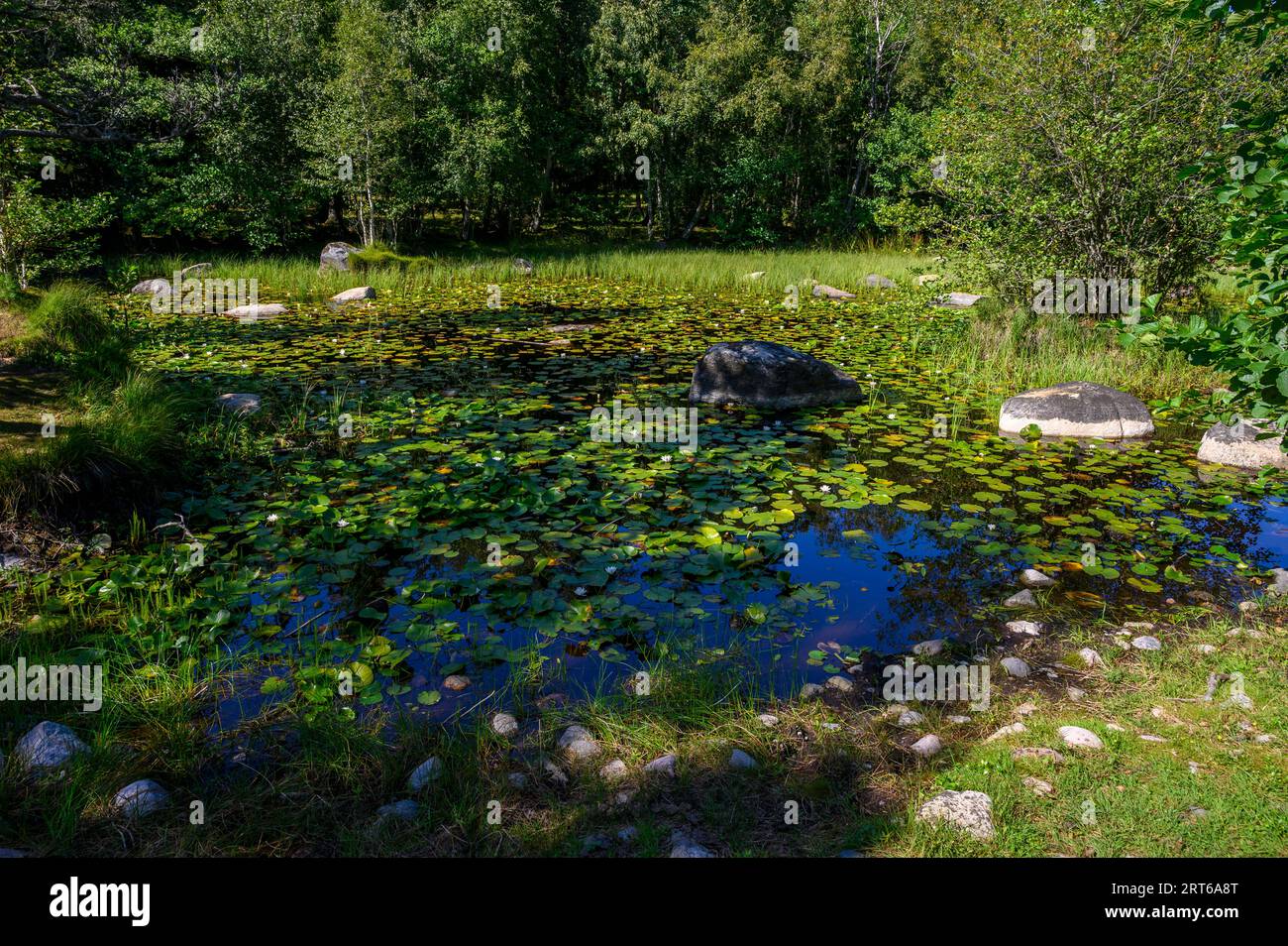 'Tårntjernet' (The Lighthouse pond) on Jomfruland island made famous by ...