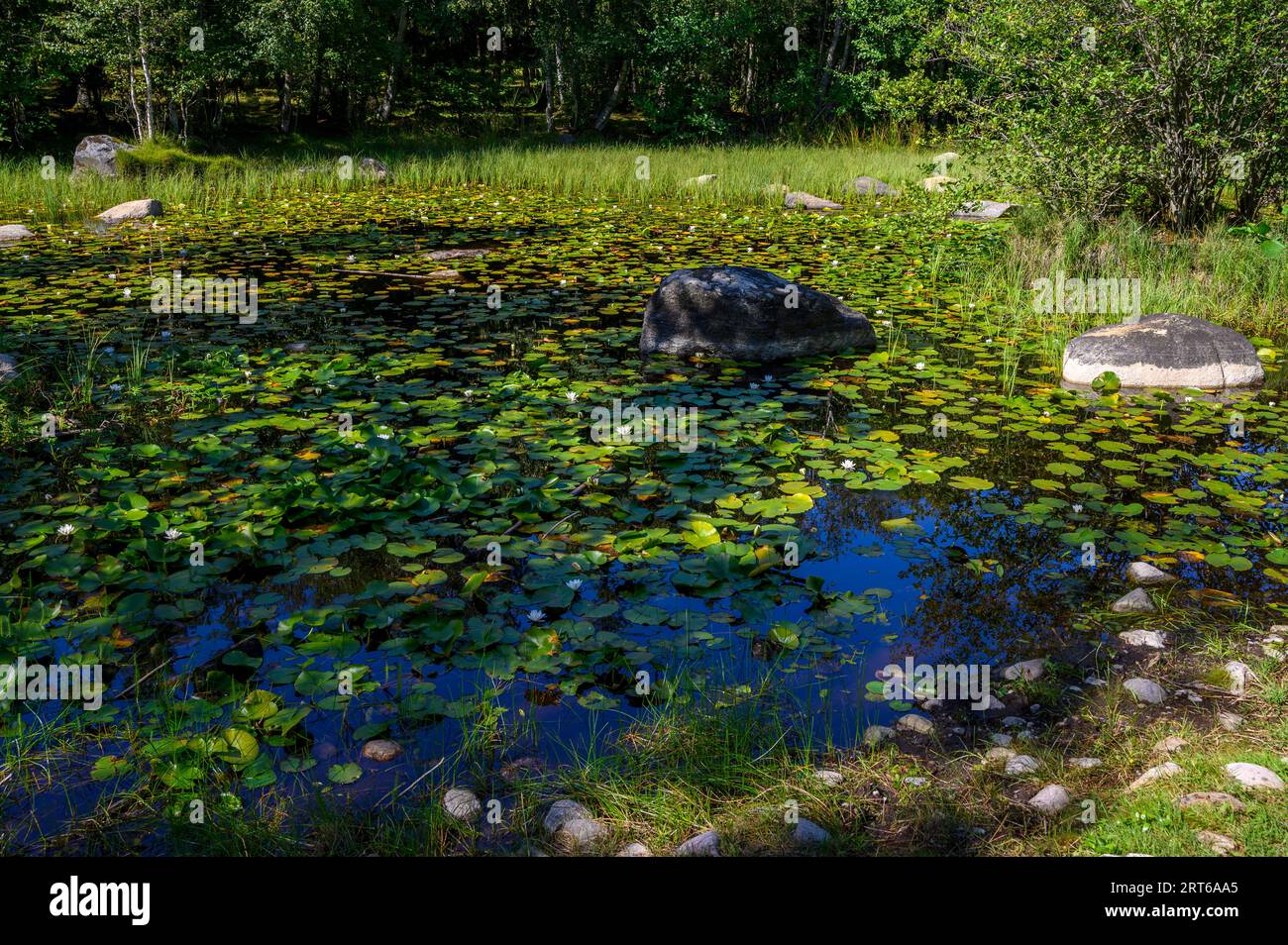 'Tårntjernet' (The Lighthouse pond) on Jomfruland island made famous by ...