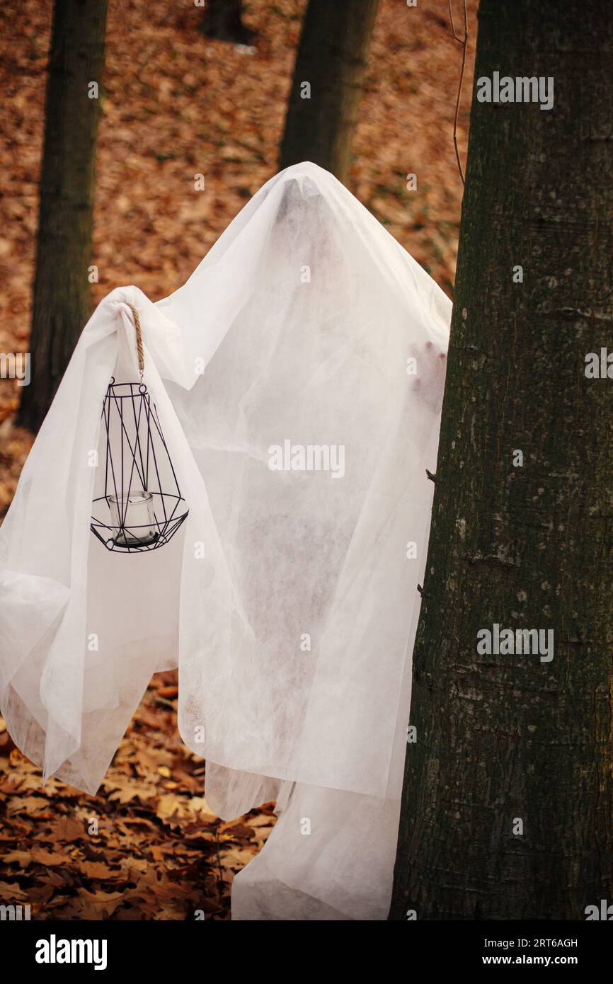 Scary ghost holding lantern and peeking out of a tree in autumn forest ...