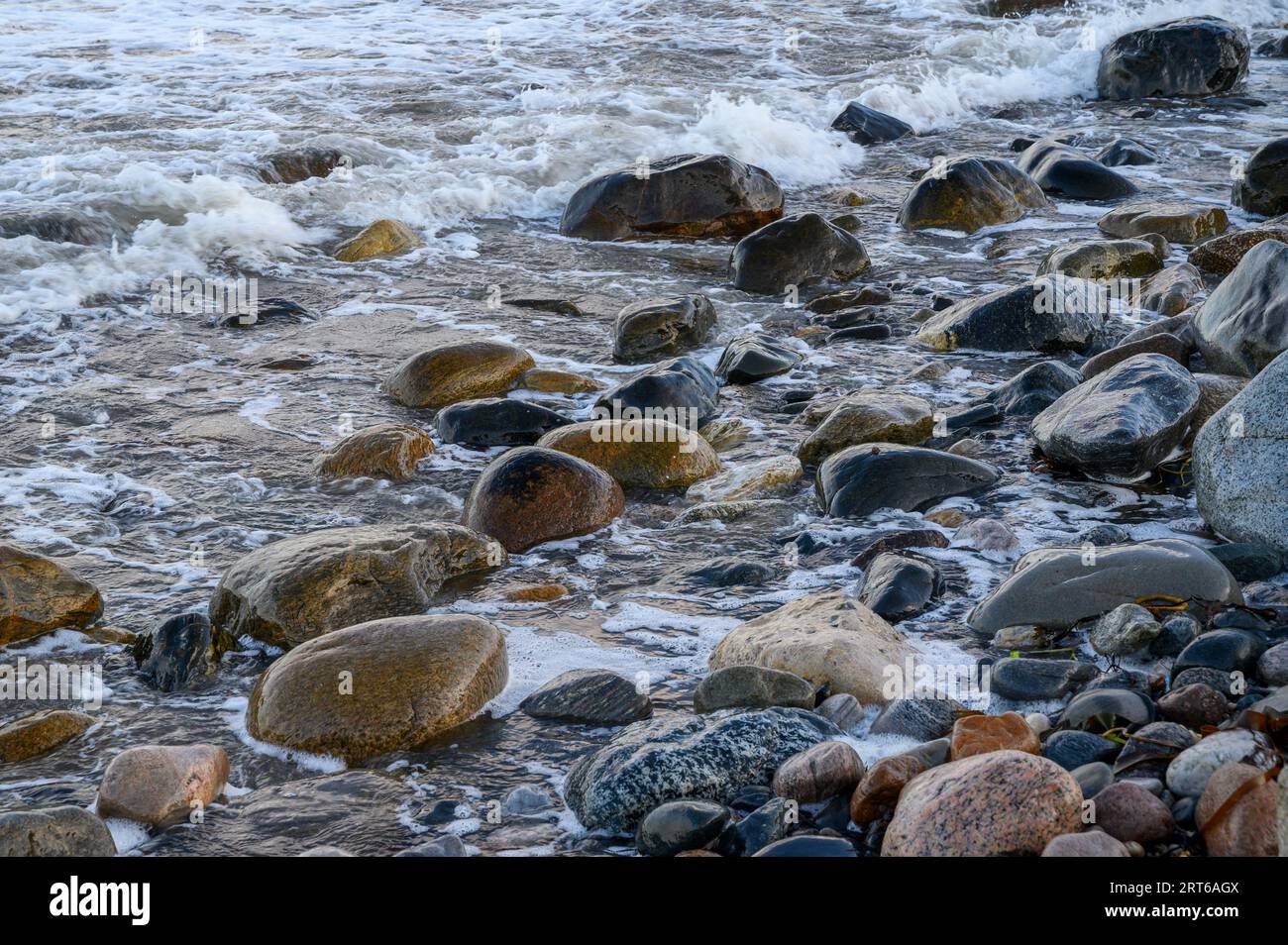 Glistening, wet, round rocks on the beach on Jomfruland island ...