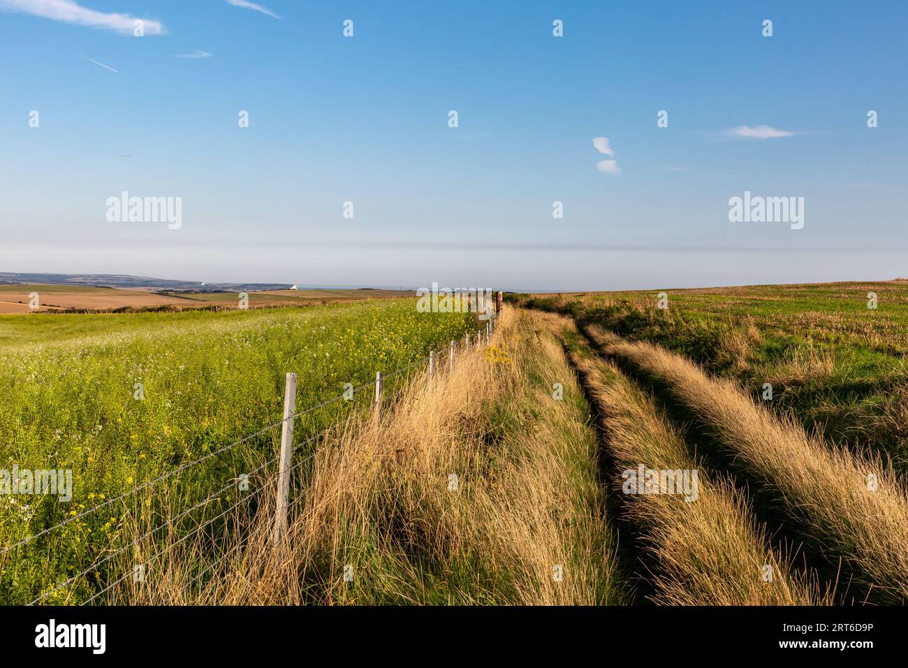 Looking along a rural pathway in Sussex with a blue sky overhead Stock ...