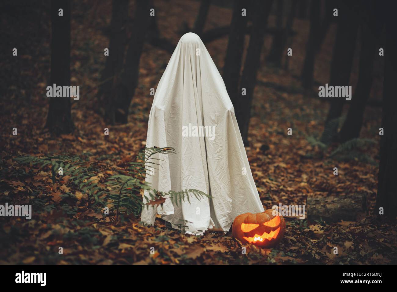 Spooky ghost with glowing jack o lantern in moody dark autumn forest ...