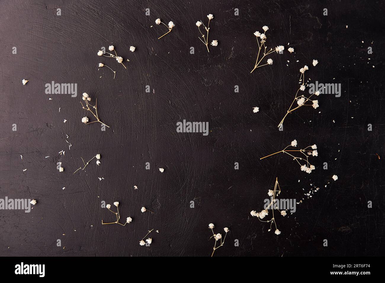 Battered flowers hi-res stock photography and images - Alamy