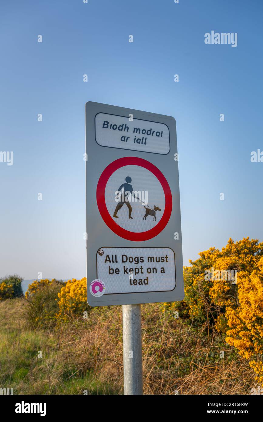 Canine rules hi-res stock photography and images - Alamy