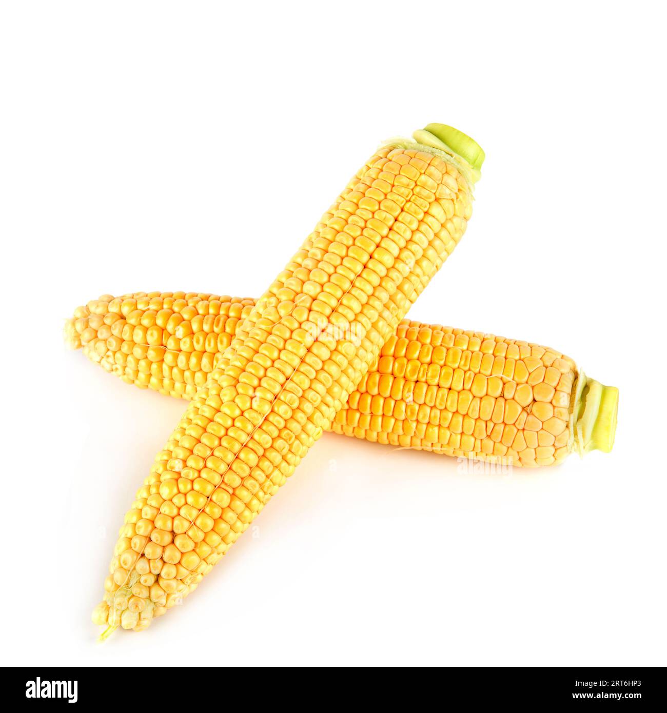 Corn cobs isolated on white background Stock Photo - Alamy