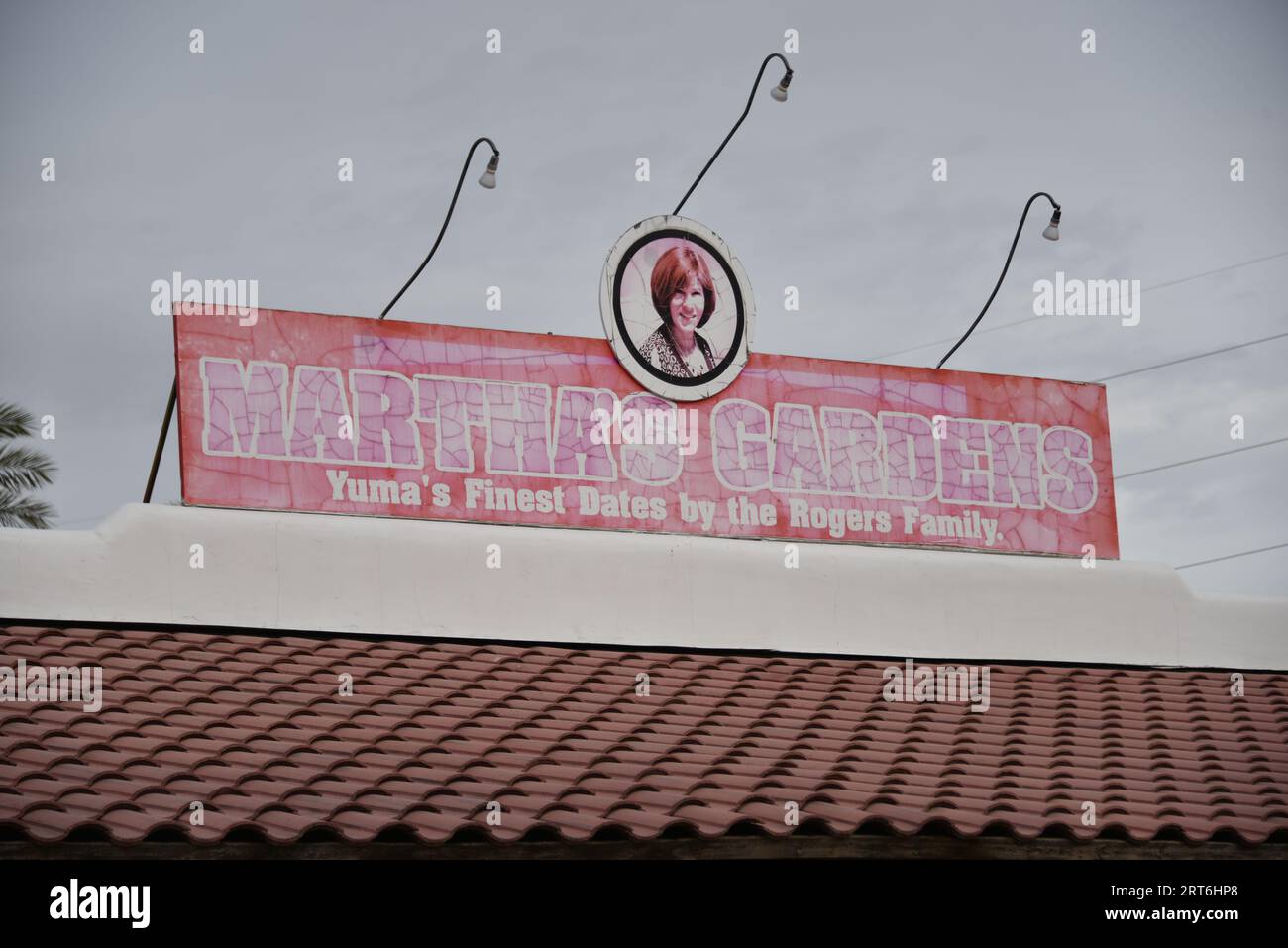 Yuma, AZ USA. 3/14/2023. Martha’s Gardens Medjool Date Farm was founded ...