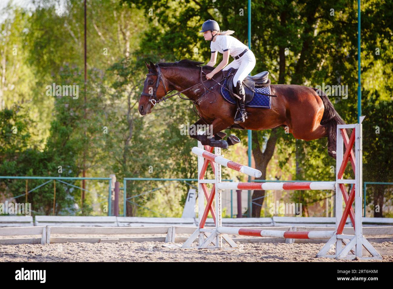 Young horseriding woman jumping over the obstacle on her showjumping ...