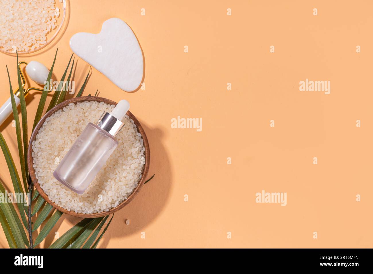 Rice Water organic cosmetics, beauty skin care. Natural fermented rice ...