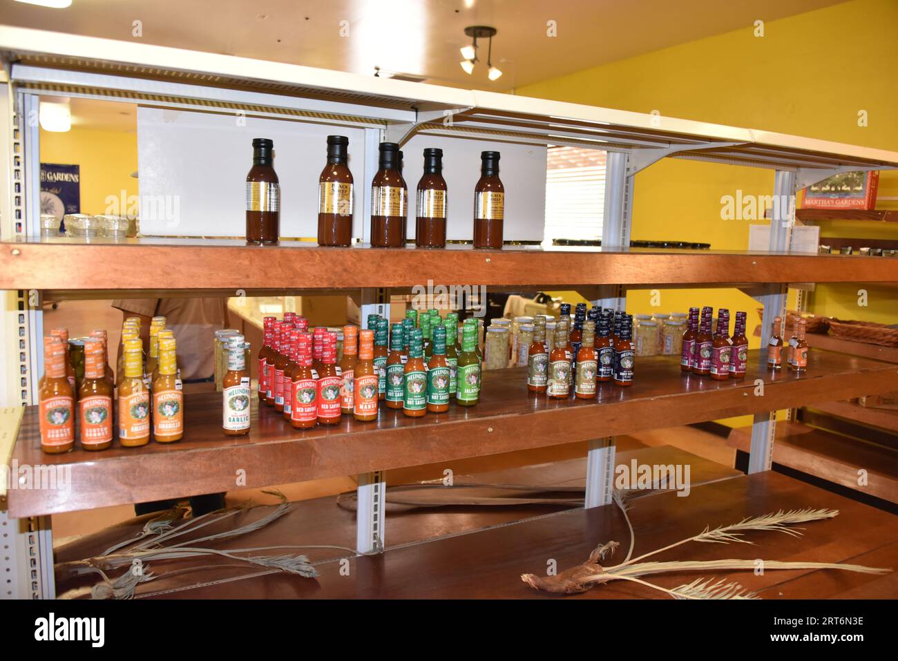 Yuma, AZ USA. 3/14/2023. Martha’s Gardens Medjool Date Farm was founded ...