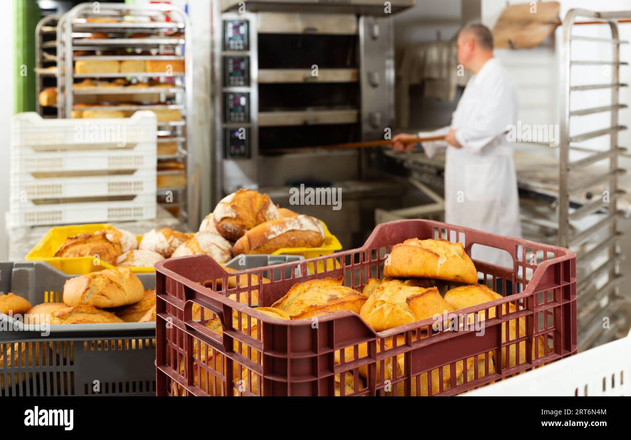 Usual work of baker in a bakery Stock Photo - Alamy