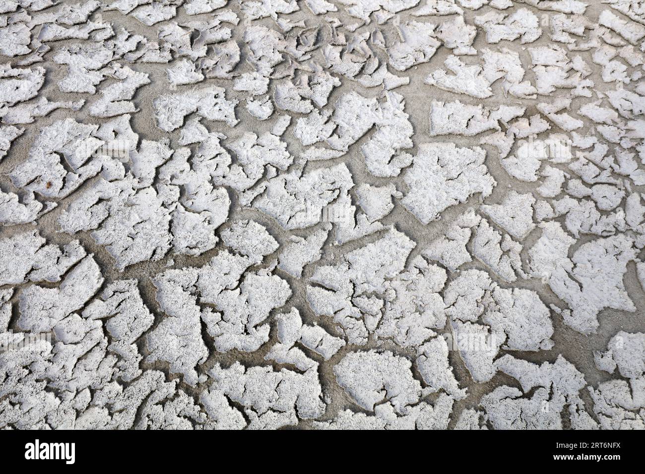 Parched field texture hi-res stock photography and images - Alamy