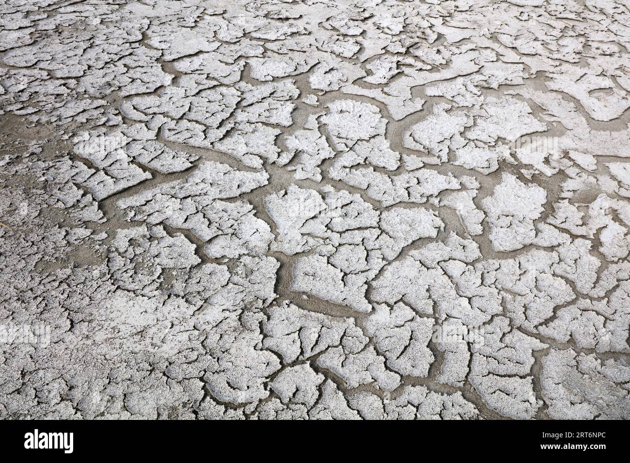Parched field texture hi-res stock photography and images - Alamy