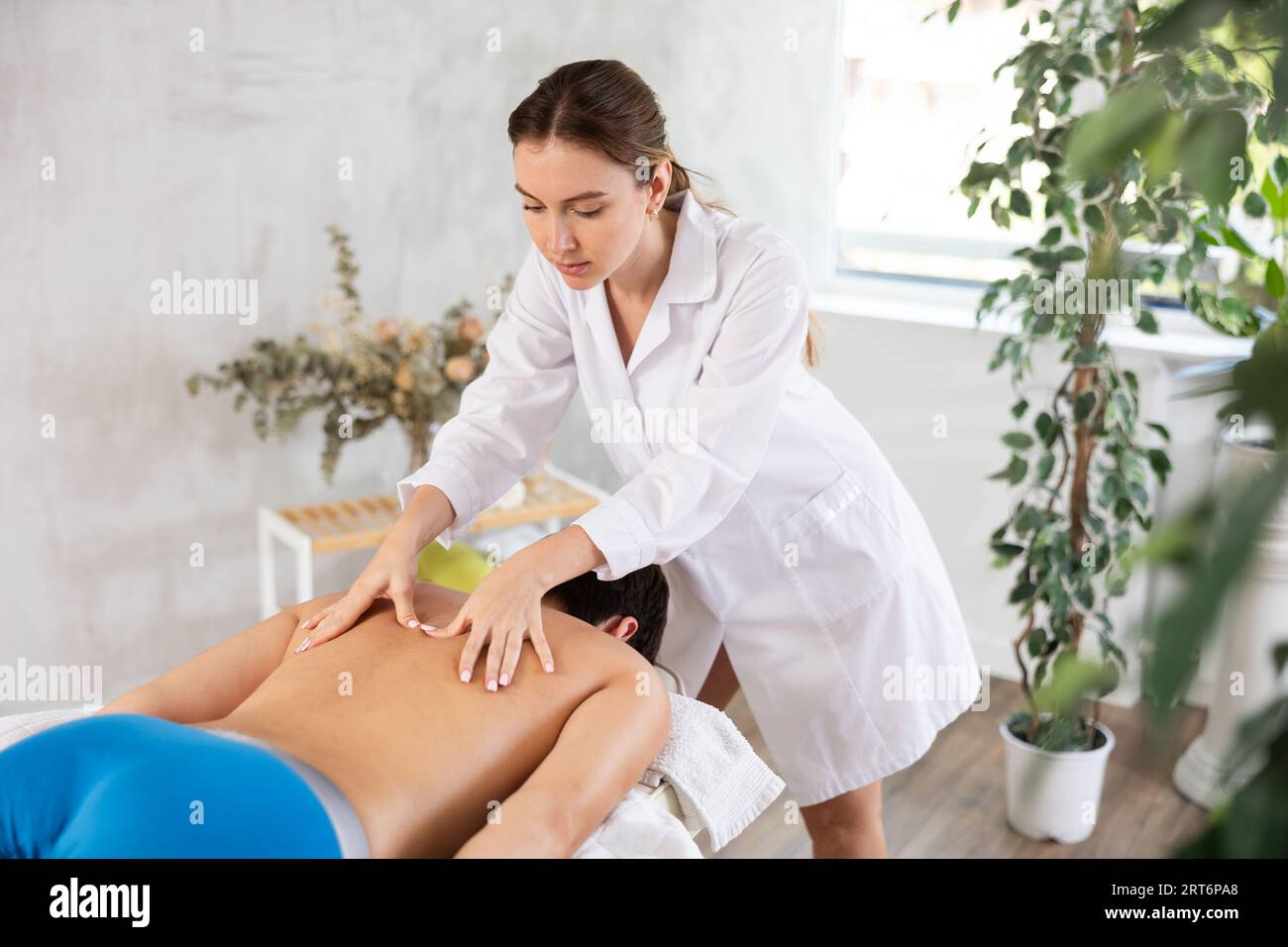 Female masseuse doing professional therapeutic hi-res stock photography ...