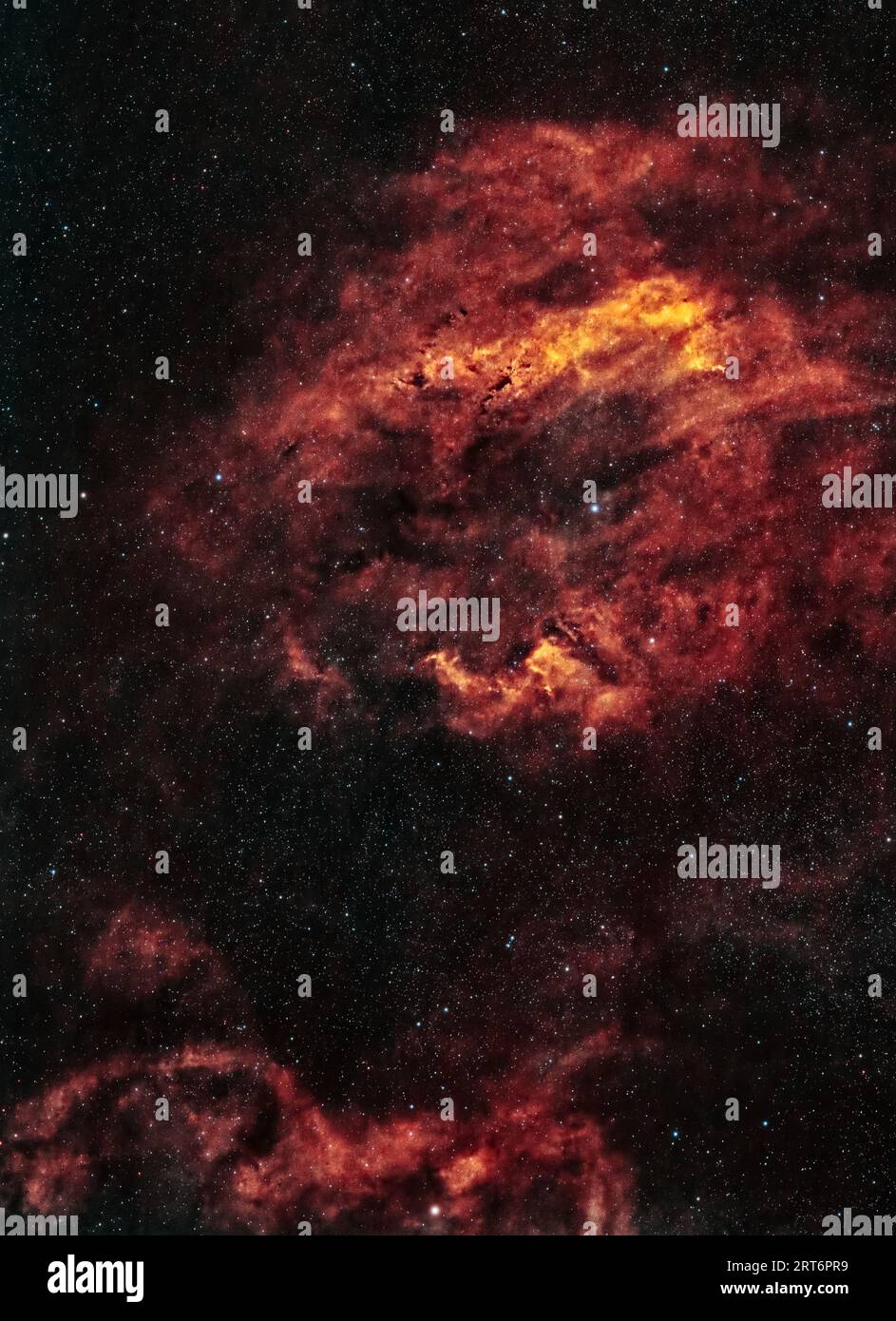 Behold the ethereal beauty of the Clam Shell Nebula, a celestial marvel ...