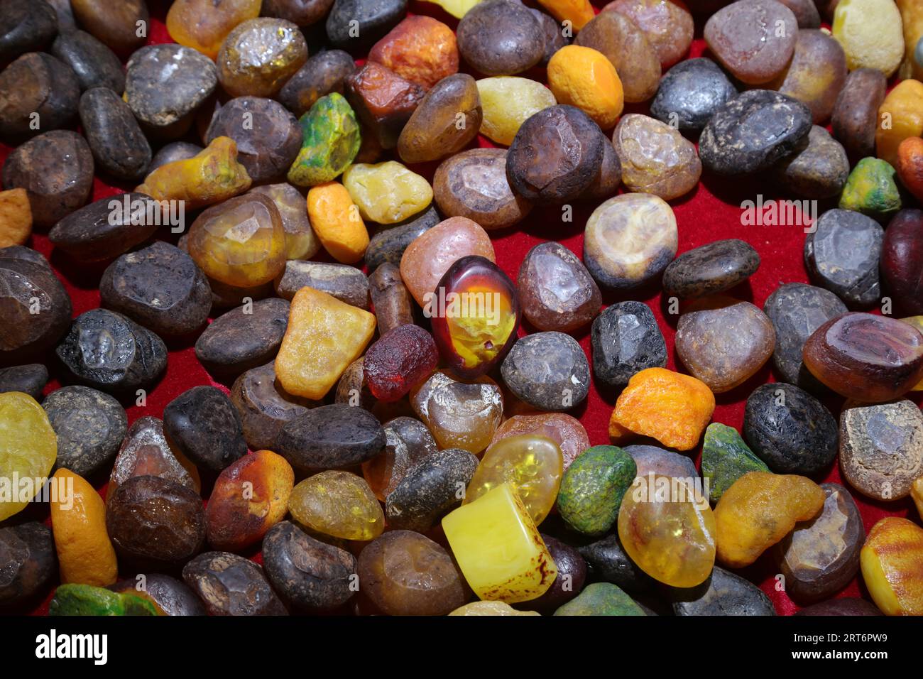 Fossils in amber hi-res stock photography and images - Alamy
