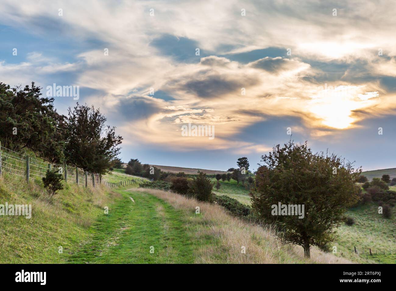 Looking along a pathway in the Sussex countryside, on a late summer's ...