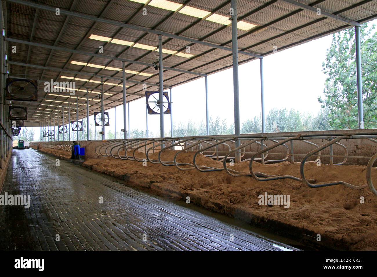 Steel frame structure in dairy farm Stock Photo - Alamy