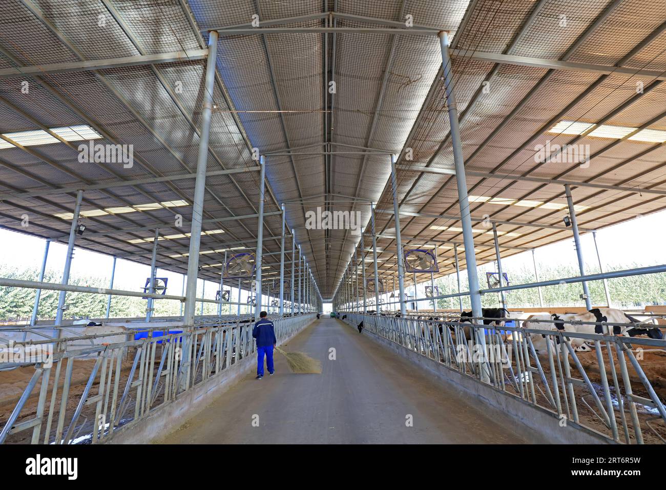 Farm china hi-res stock photography and images - Alamy