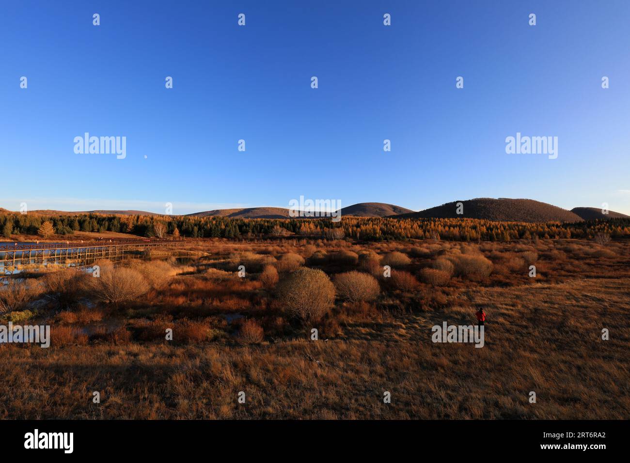 Scenery of huanggangliang scenic spot in Keshiketeng Banner Geopark ...
