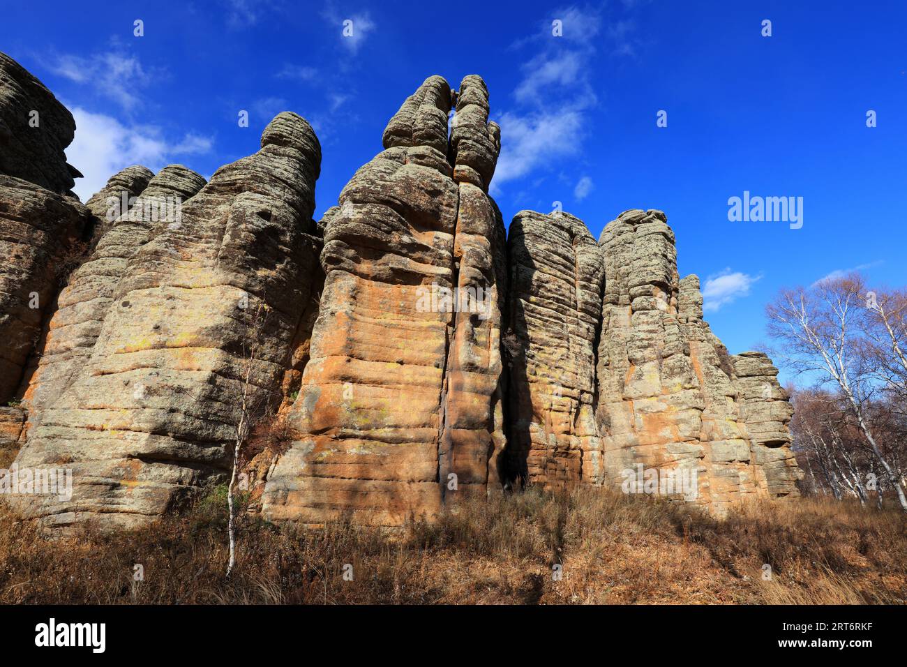 Landscape of ashhatu Stone Forest in Keshiketeng World Geopark, Inner ...