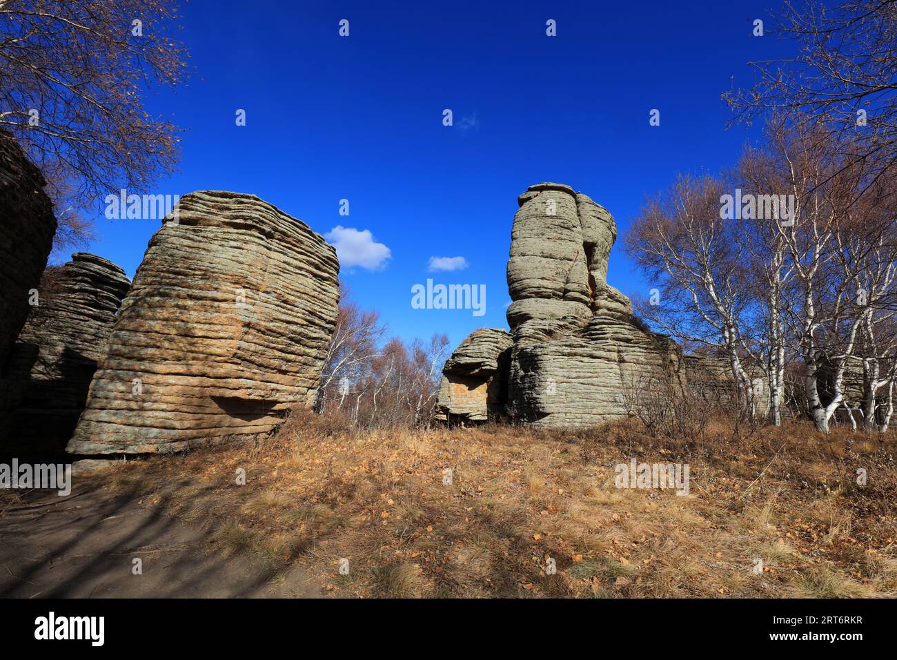 Landscape of ashhatu Stone Forest in Keshiketeng World Geopark, Inner ...