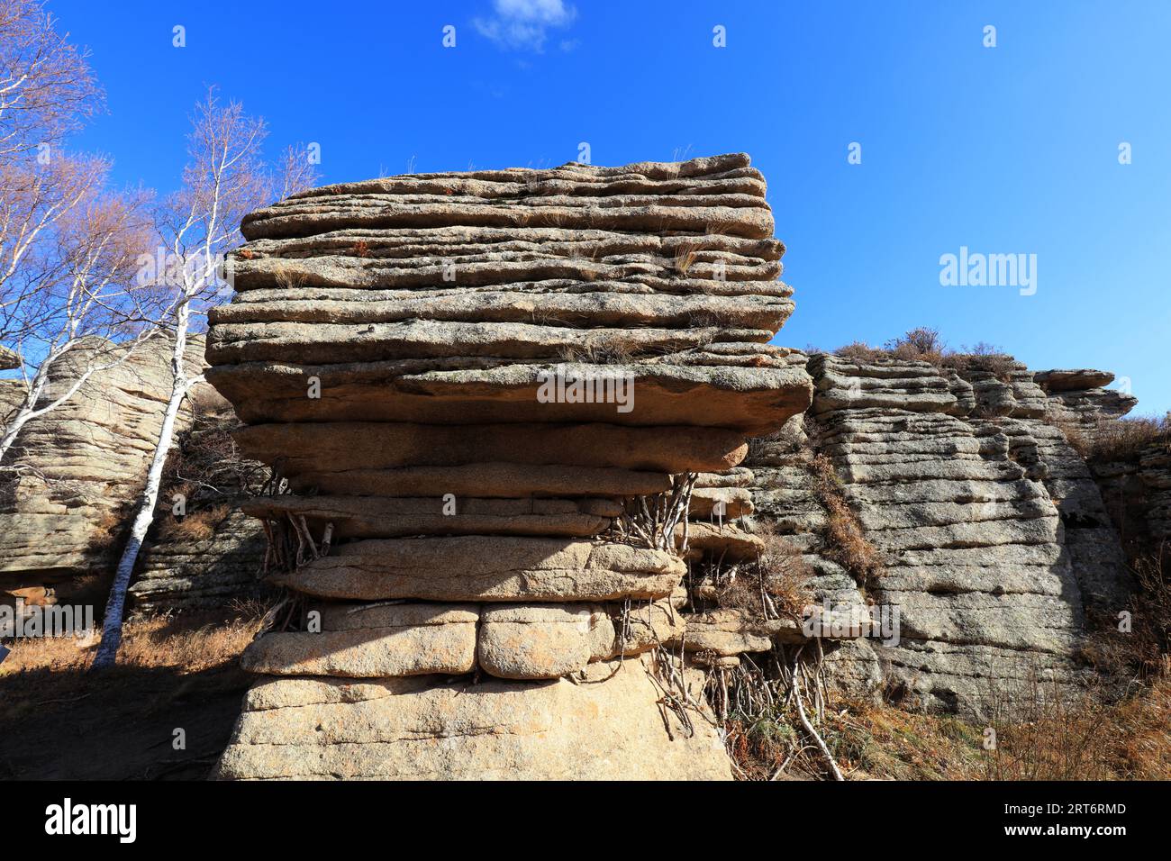 Landscape of ashhatu Stone Forest in Keshiketeng World Geopark, Inner ...