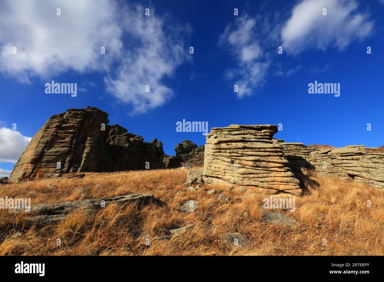 Landscape of ashhatu Stone Forest in Keshiketeng World Geopark, Inner ...