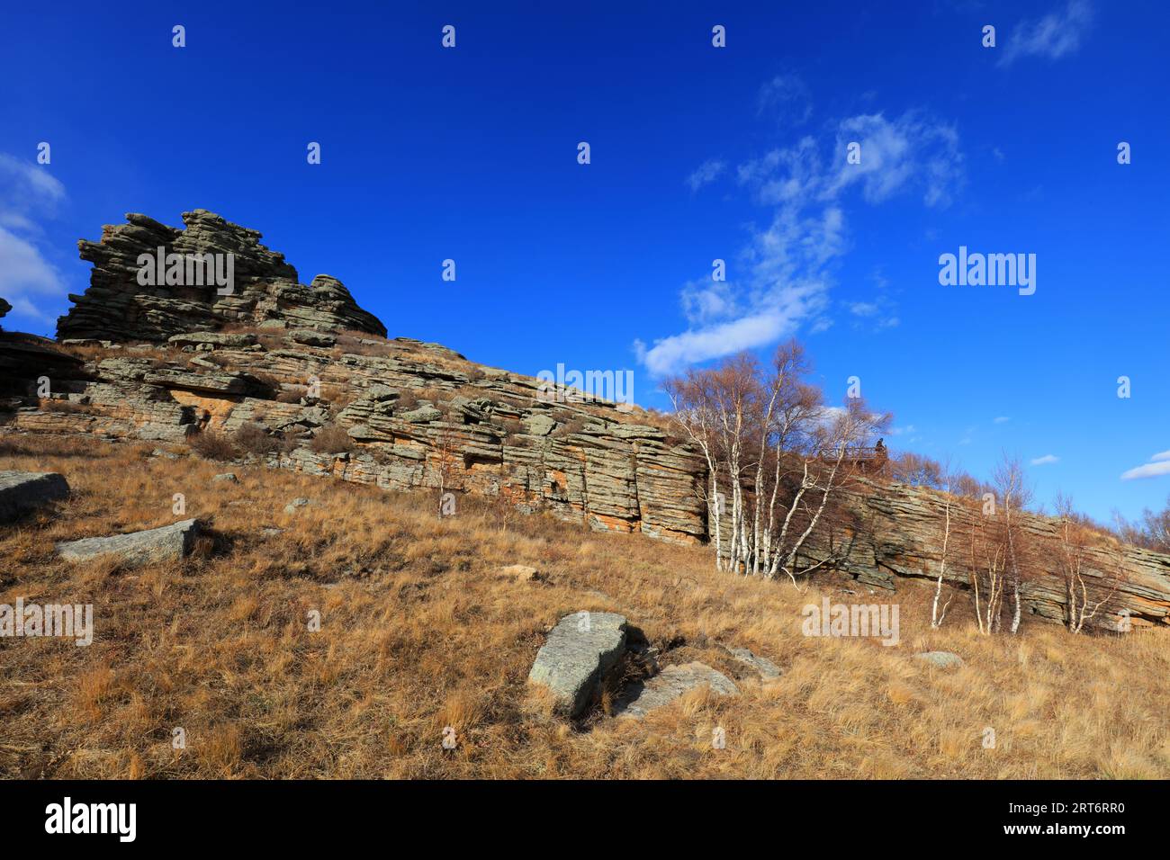 Landscape of ashhatu Stone Forest in Keshiketeng World Geopark, Inner ...