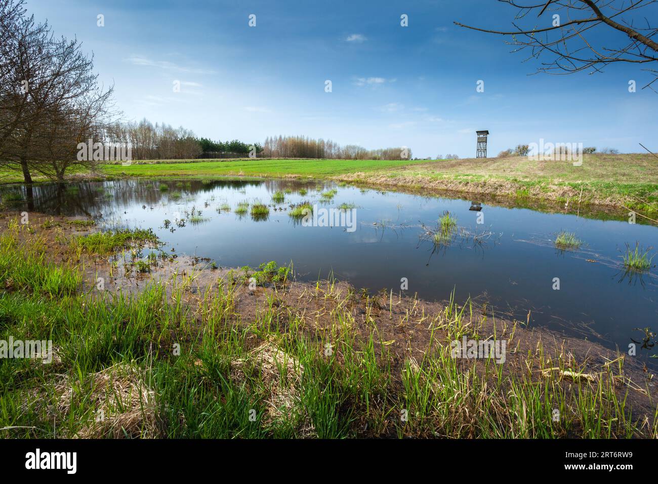 Puddle bank hi-res stock photography and images - Alamy