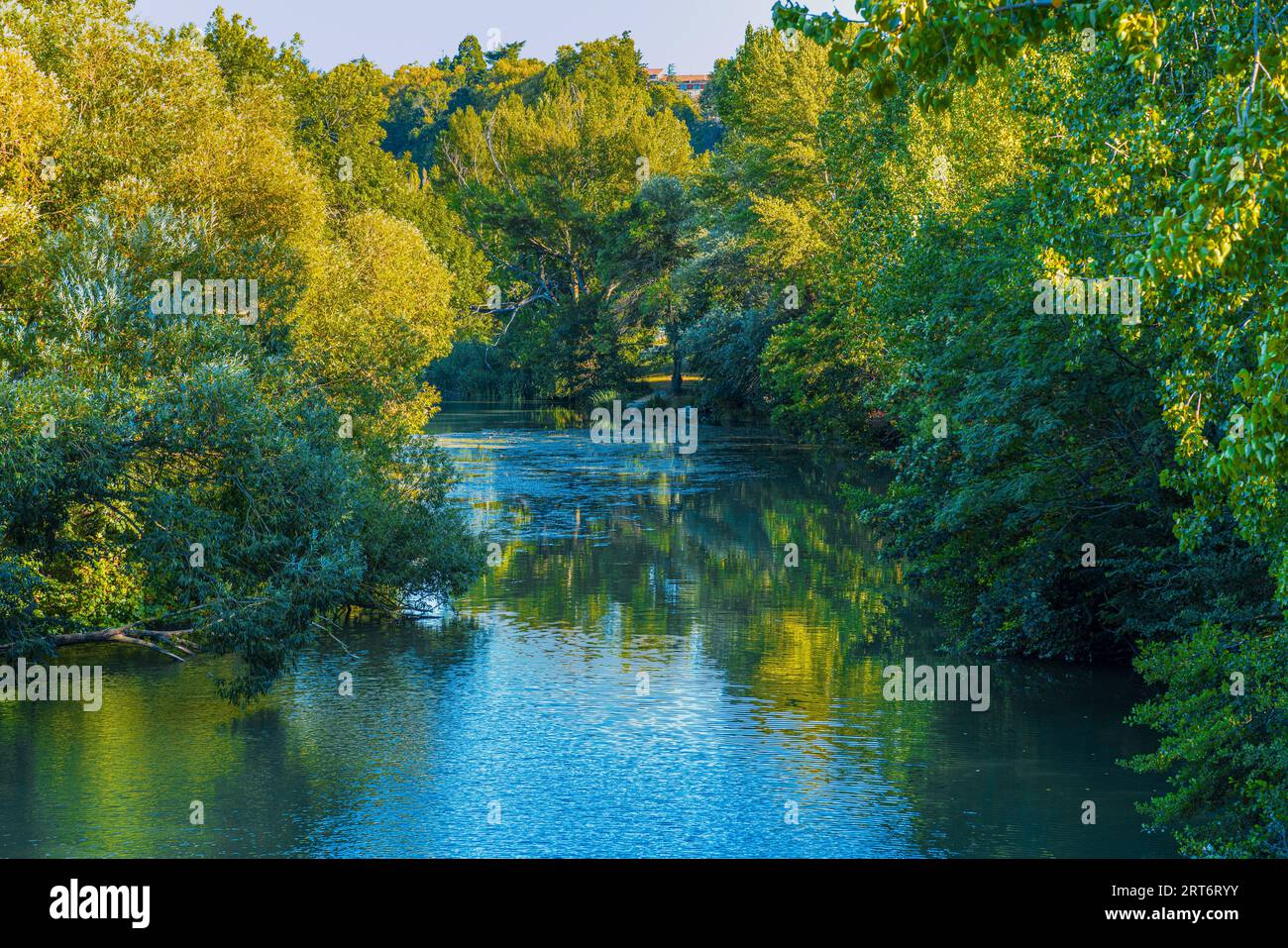 Scenic view of a river featuring lush vegetation. Arga River, Pamplona ...