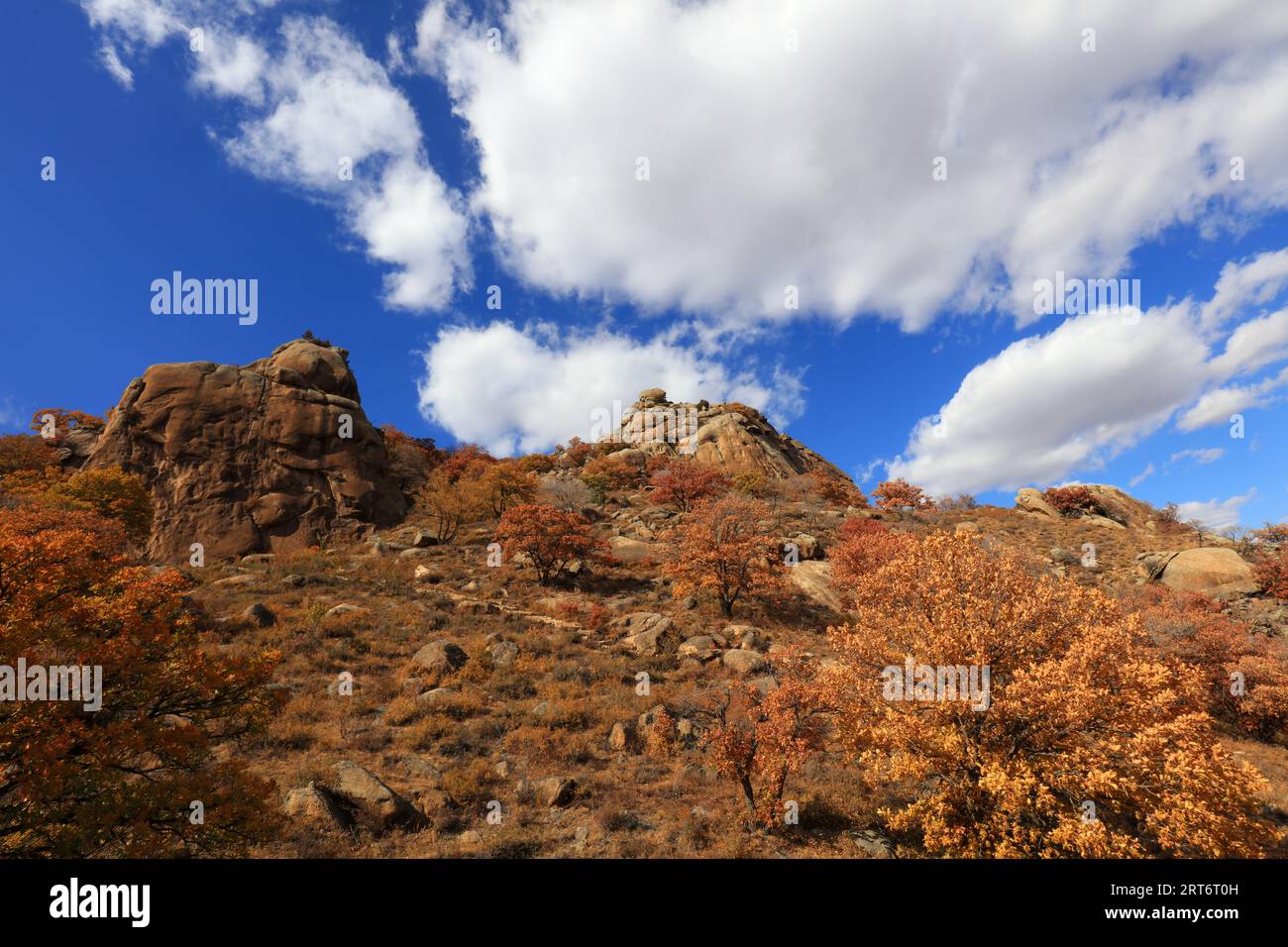 Natural scenery of Qingshan Park in Keshiketeng World Geopark, Inner ...