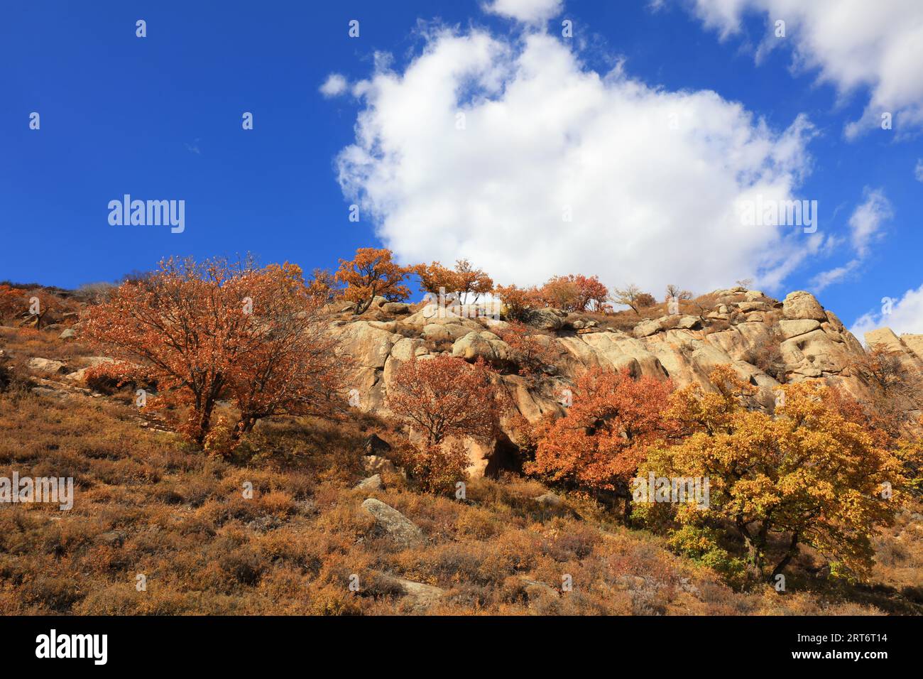 Natural scenery of Qingshan Park in Keshiketeng World Geopark, Inner ...