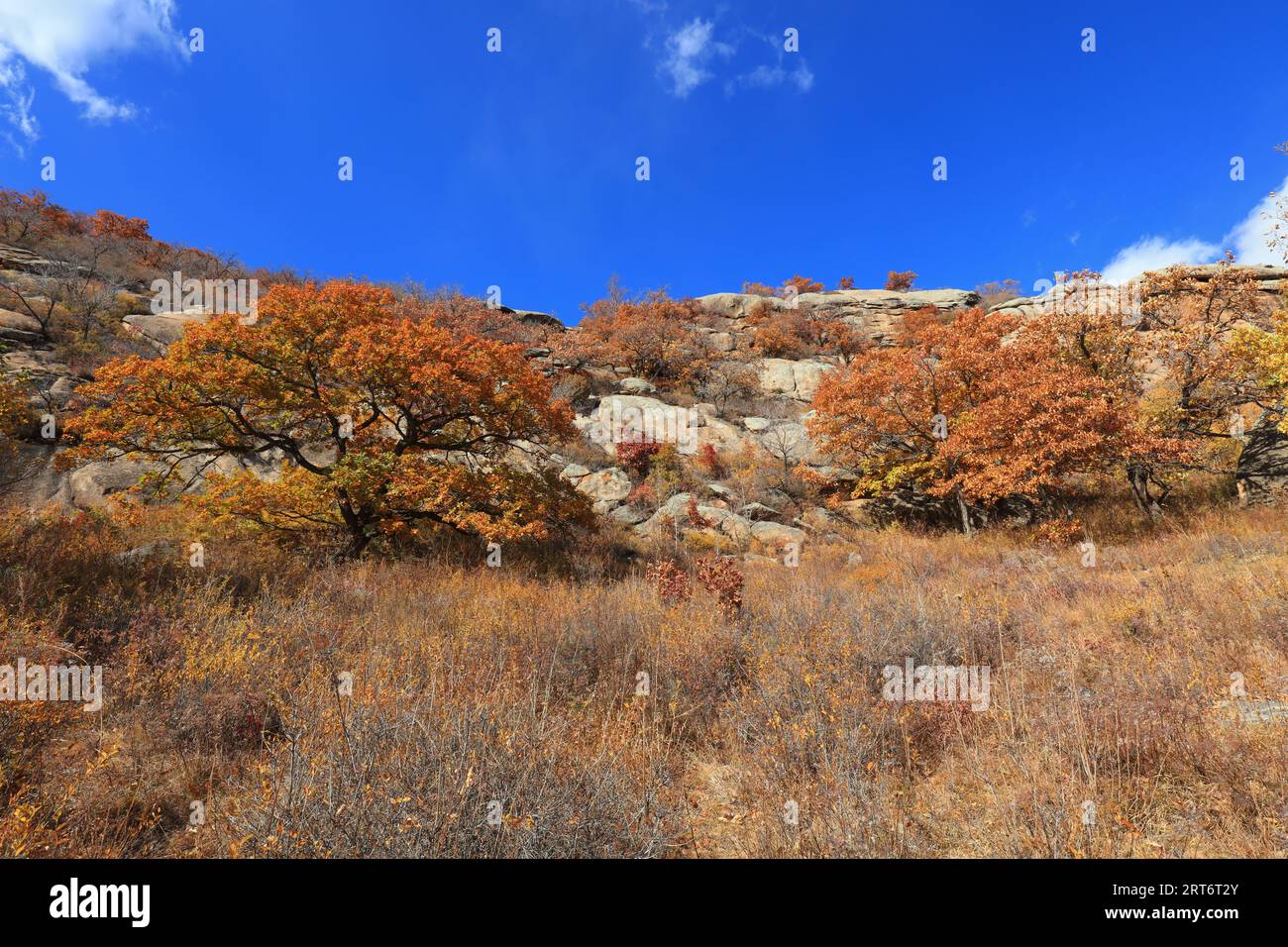 Natural scenery of Qingshan Park in Keshiketeng World Geopark, Inner ...