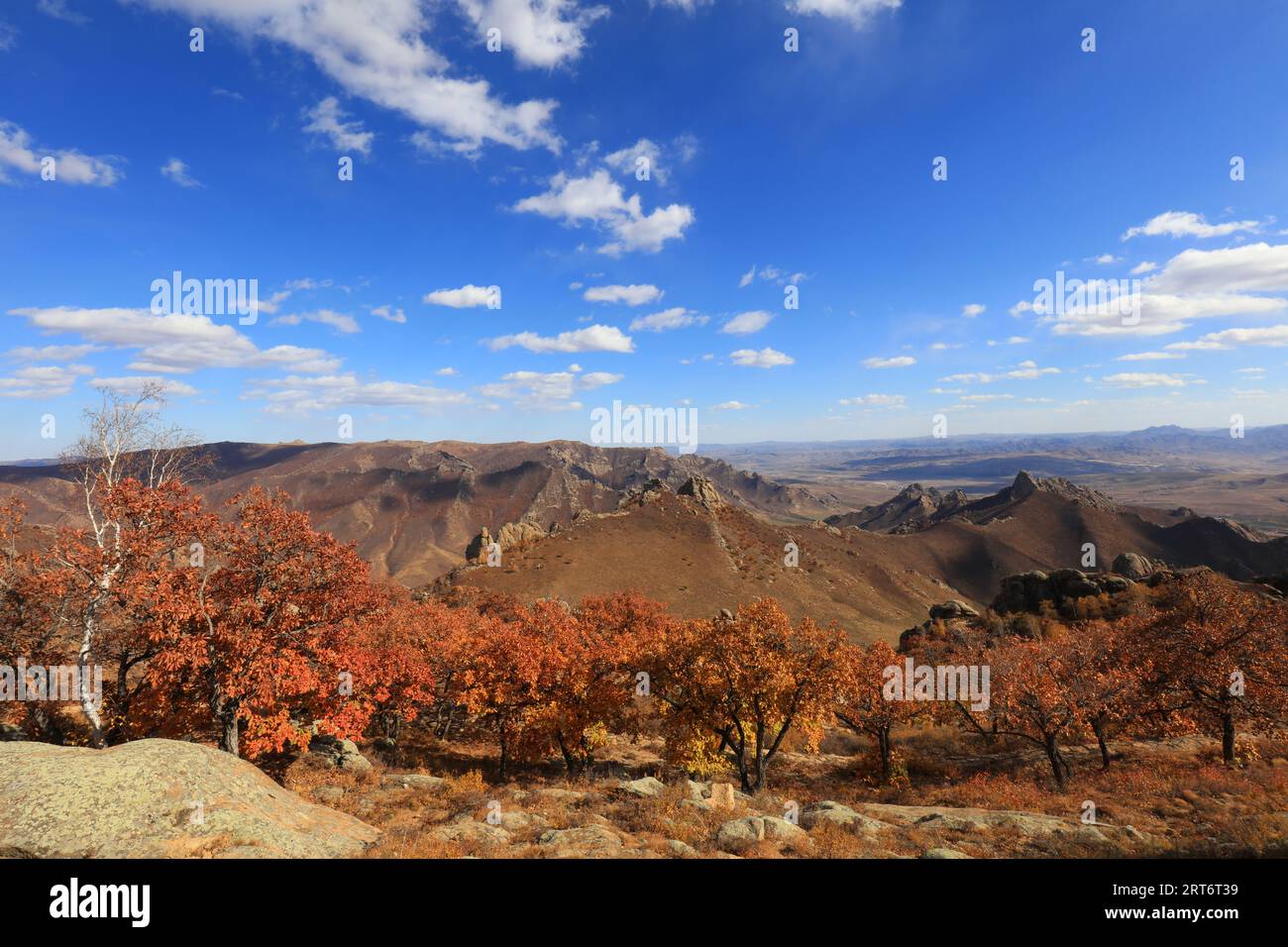Natural scenery of Qingshan Park in Keshiketeng World Geopark, Inner ...