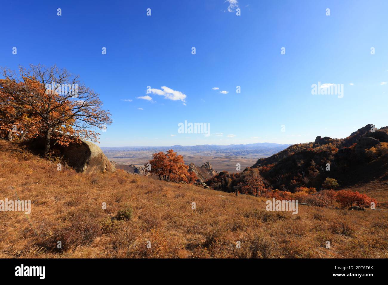 Natural scenery of Qingshan Park in Keshiketeng World Geopark, Inner ...