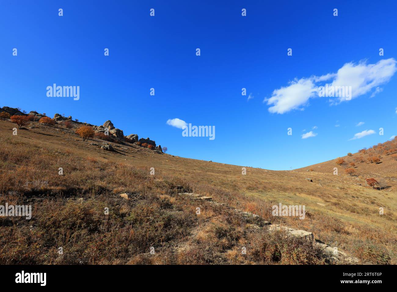 Natural scenery of Qingshan Park in Keshiketeng World Geopark, Inner ...