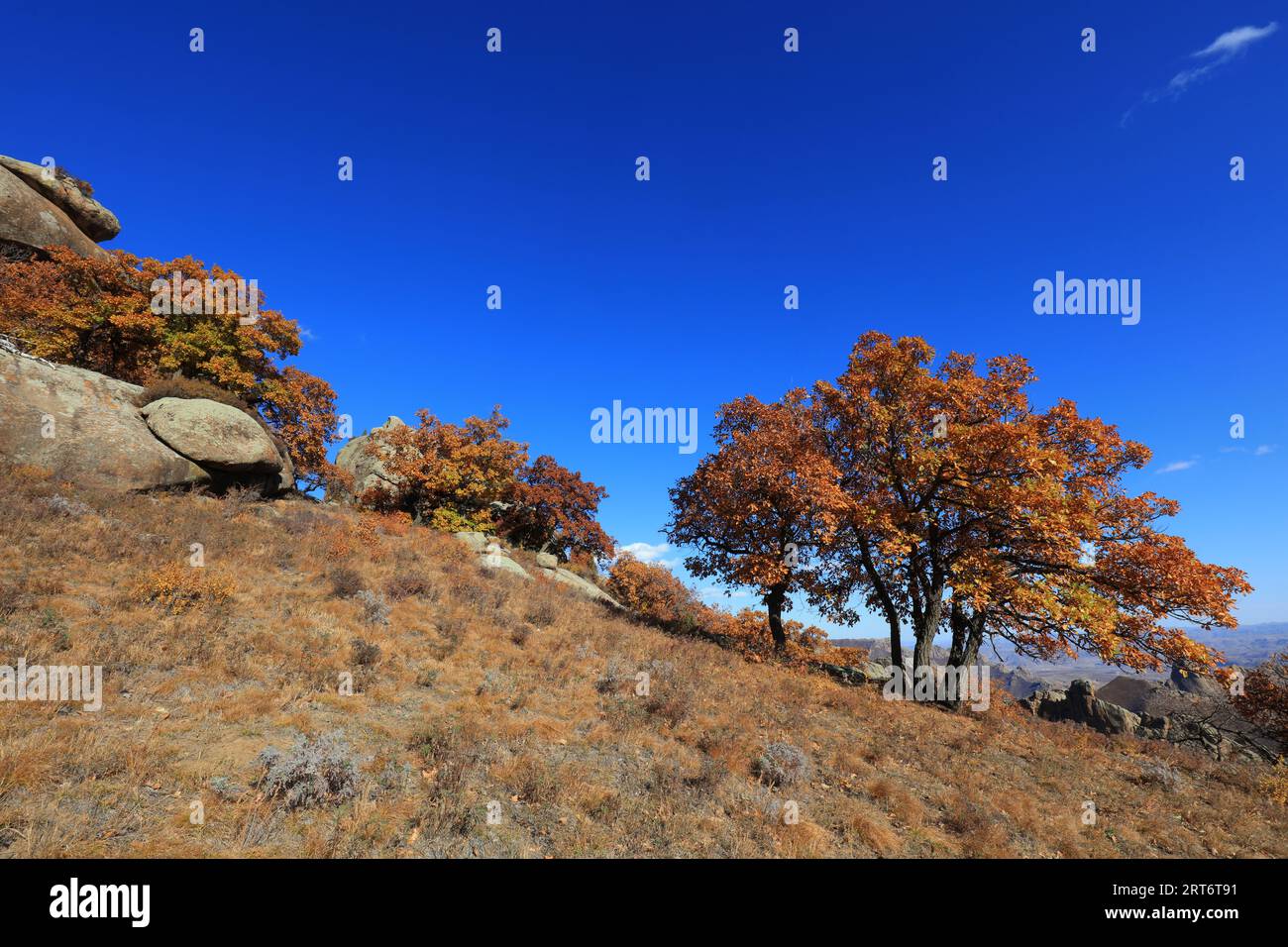 Natural scenery of Qingshan Park in Keshiketeng World Geopark, Inner ...