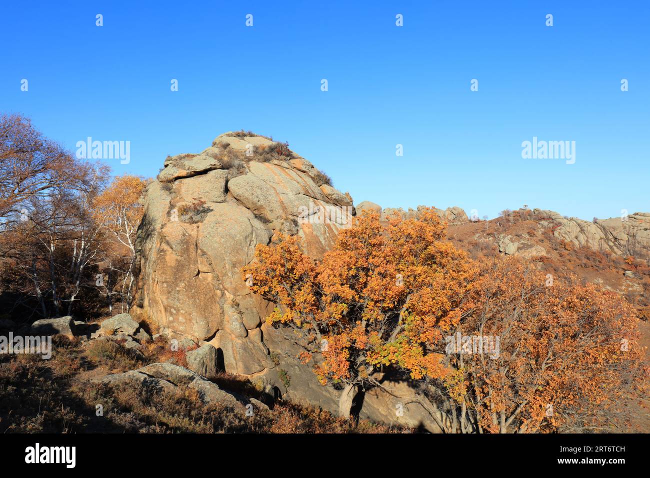 Natural scenery of Qingshan Park in Keshiketeng World Geopark, Inner ...
