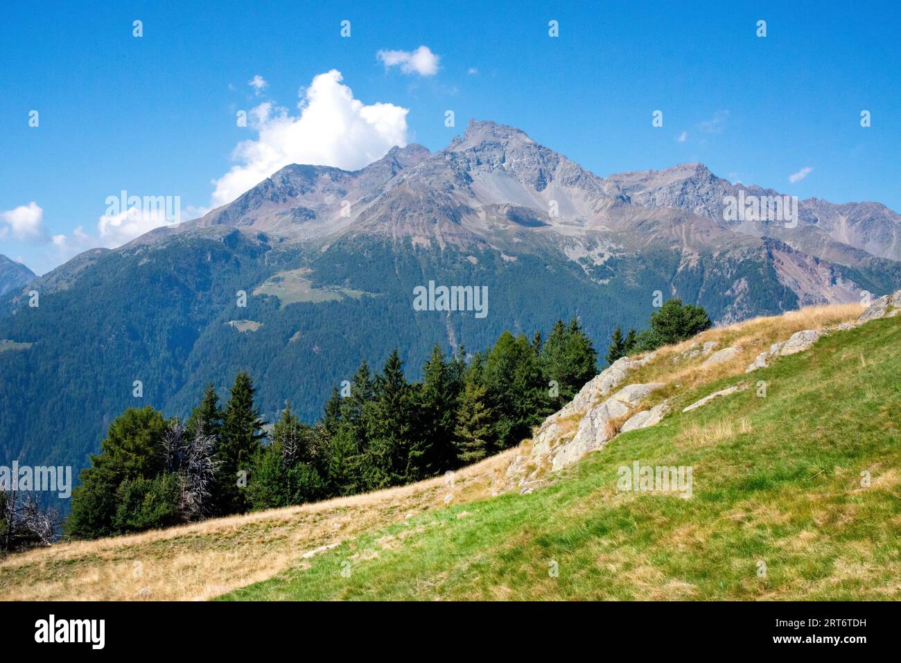 Summer view of the Cima Piazzi mountain photographed from the ...