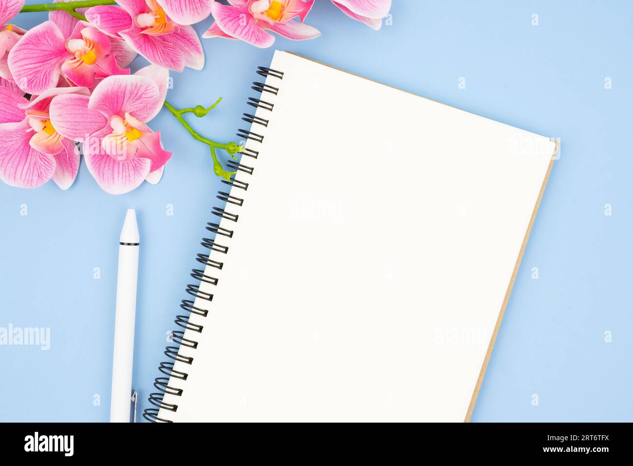 Blank open notebook and pen with pink color orchid for your text or message Stock Photo - Alamy