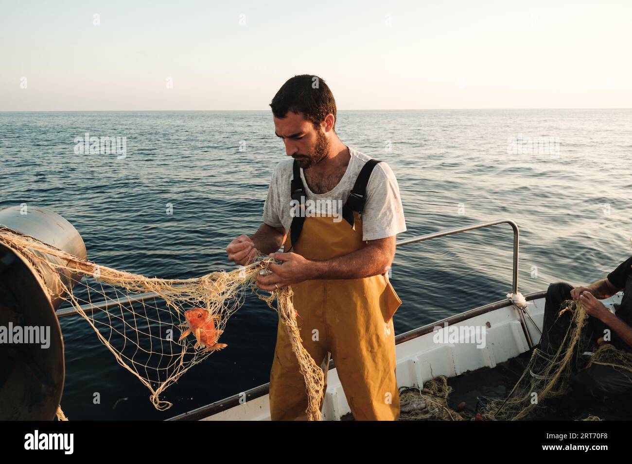 Bearded moor hi-res stock photography and images - Alamy