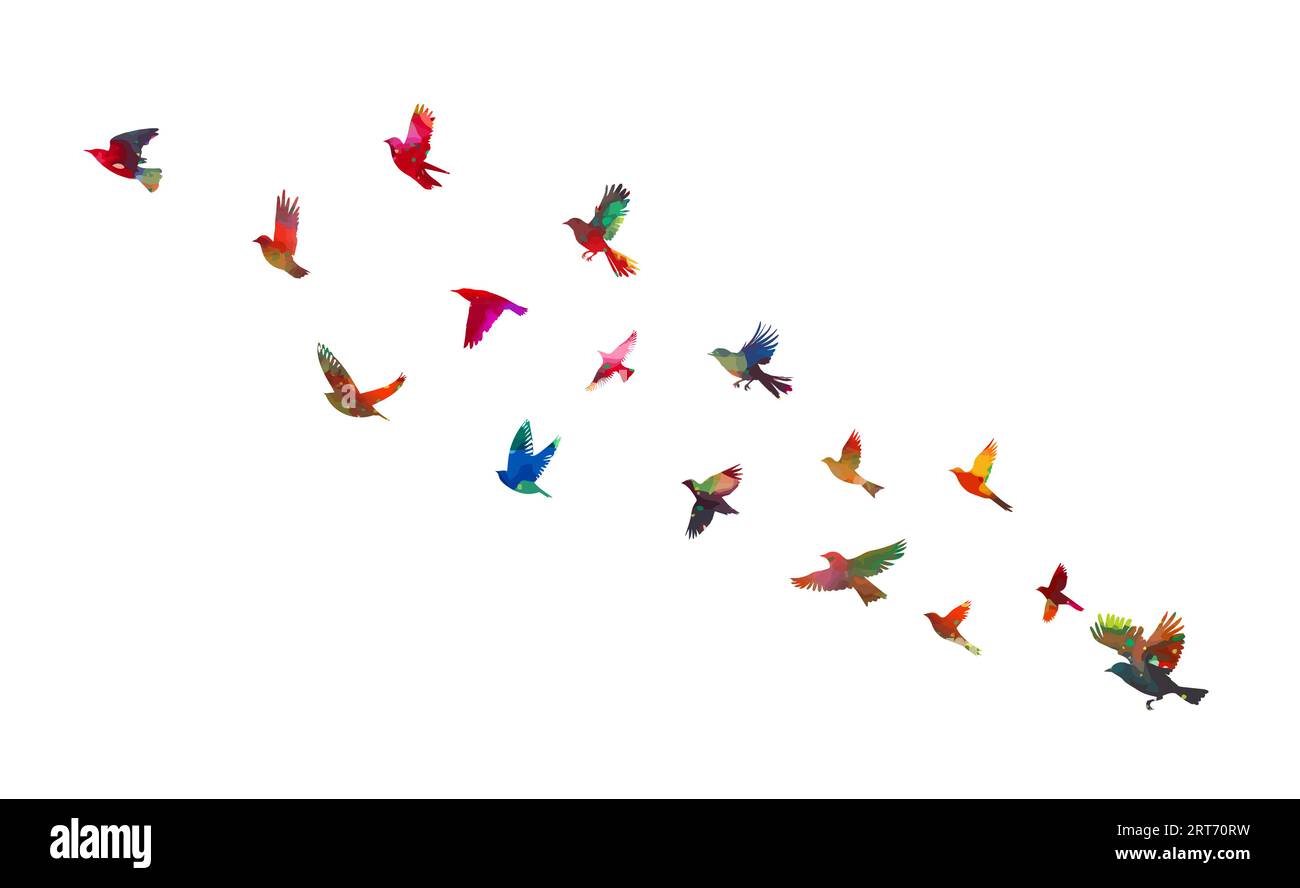 A flock of colored birds. Vector illustration Stock Vector Image & Art ...