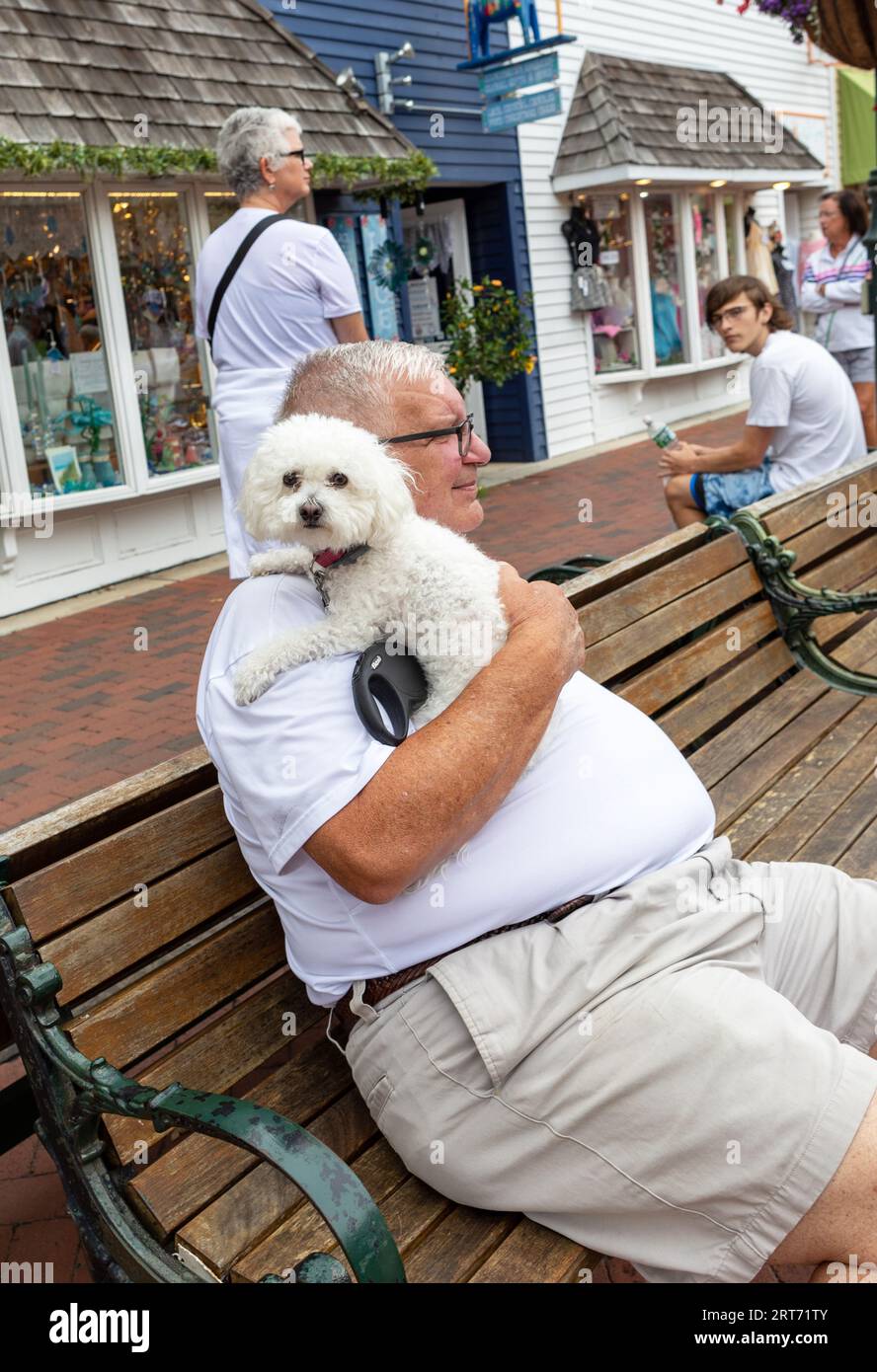 Man and his poodle hi-res stock photography and images - Alamy