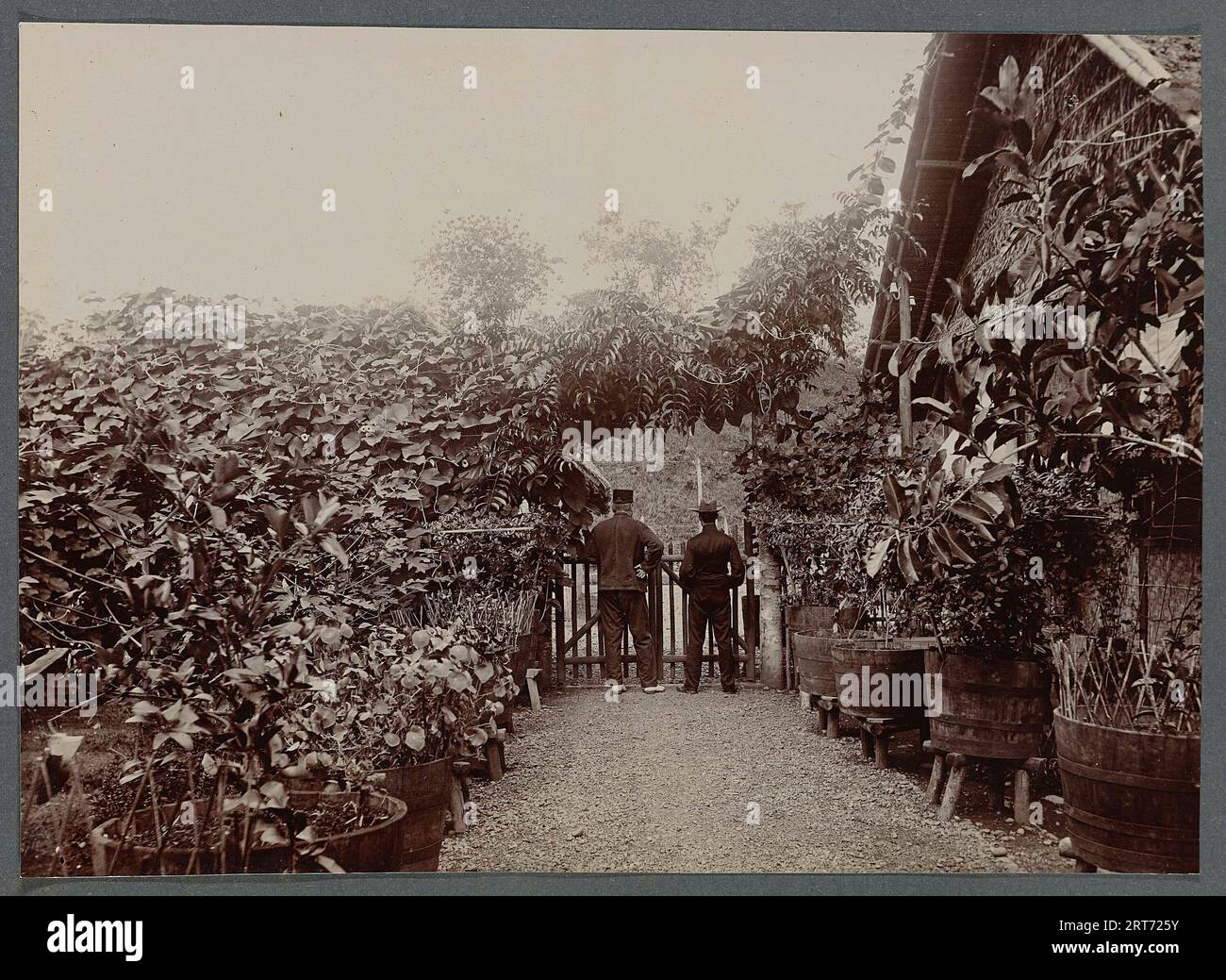 Colonial Dutch Empire in Indonesia, 1900 Stock Photo - Alamy
