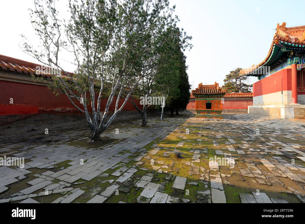 Cypress trees in ancient buildings, Yi County, Hebei Province, China ...