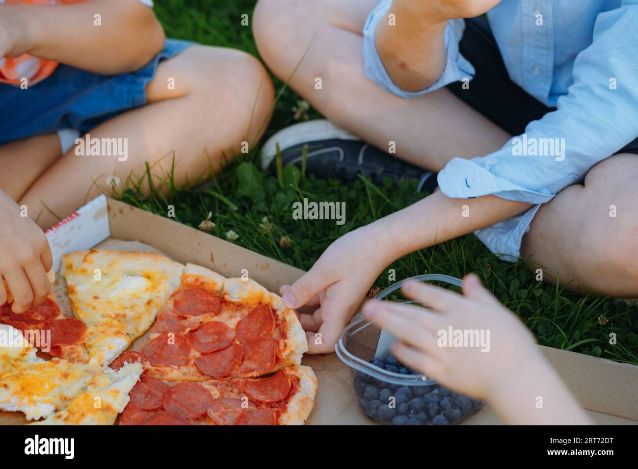 children having lunch on grass after school. Kids hands grabbing slices ...